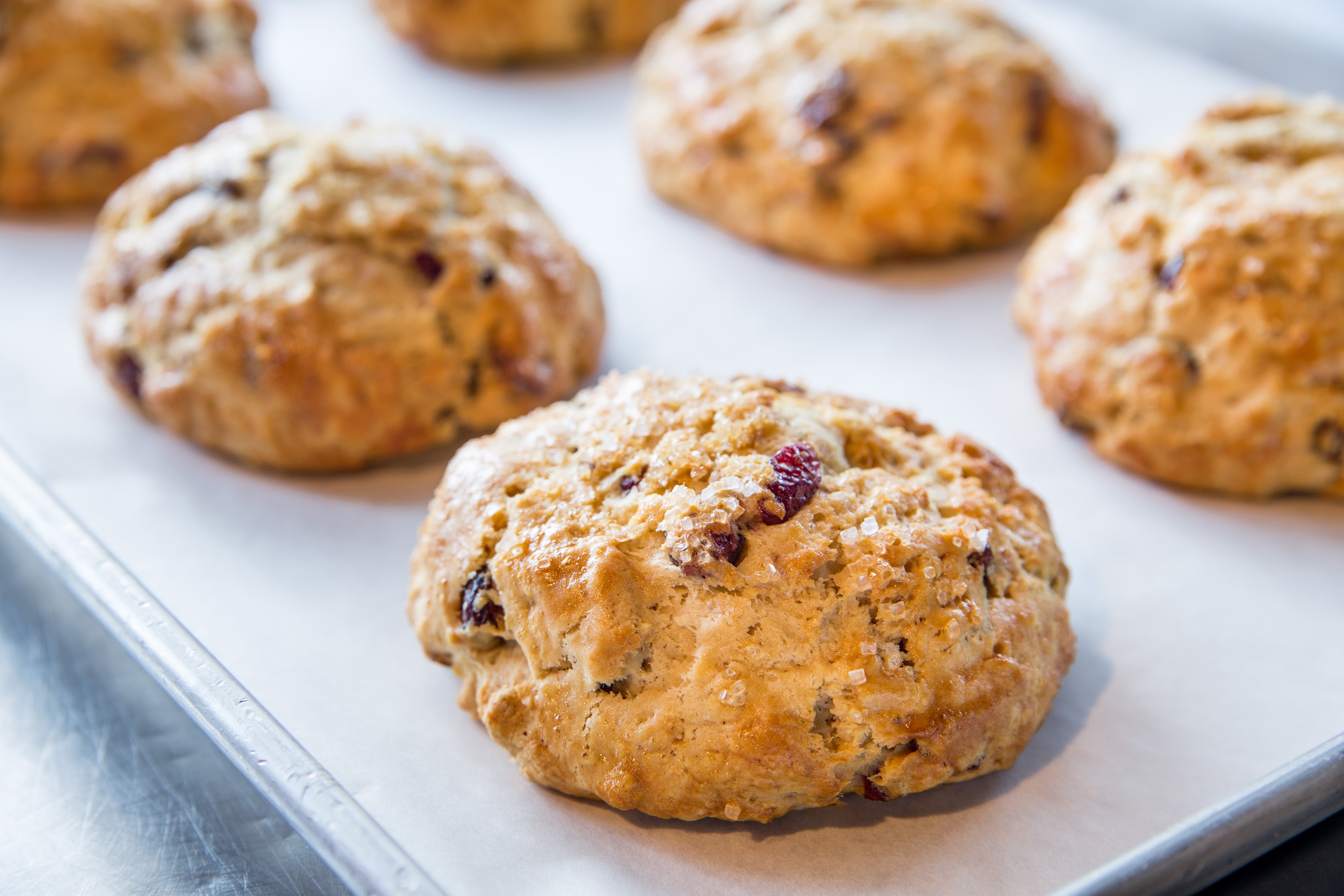 Scones – Phipps Bakery